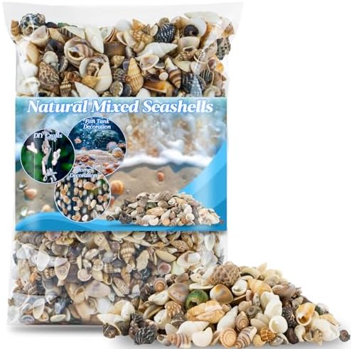Amazon.com: Calonge 1000+ Tiny Sea Shells Small Natural Starfish Mixed ...