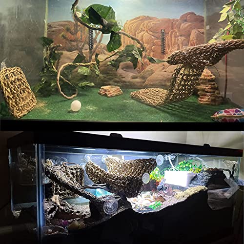 Keeps Falling Reptile Mister Niteangel Bearded Dragon Hammock Reptile ...