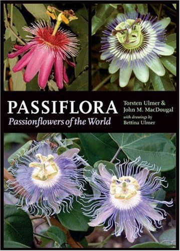 Passiflora: Passionflowers of the World: Torsten Ulmer, John M ...