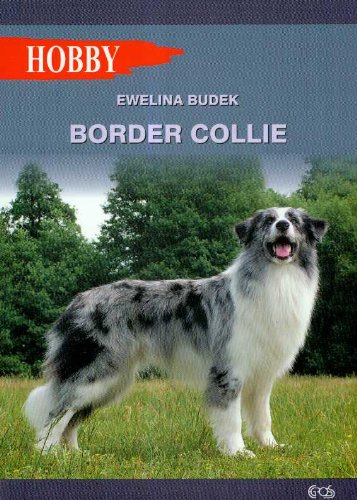Amazon.com: Border collie: 9788389986320: Books