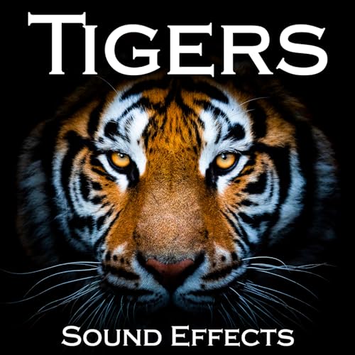 Amazon.com: Tigers Sound Effects : Sound Ideas: Digital Music