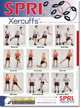 Buy SPRI Xercuff Exercise Wall Chart Online at Low Prices in India ...