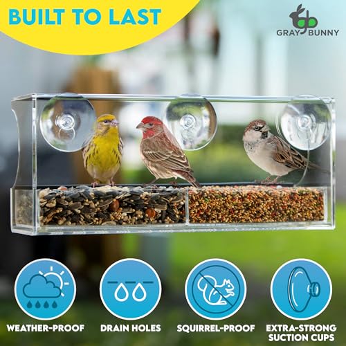 Snapklik.com : Extra Large Window Bird Feeders For Outside - Clear Bird ...