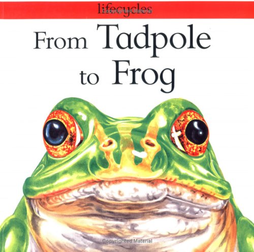 From Tadpole to Frog (Lifecycles): Stewart, David Evelyn: 9780531153352 ...