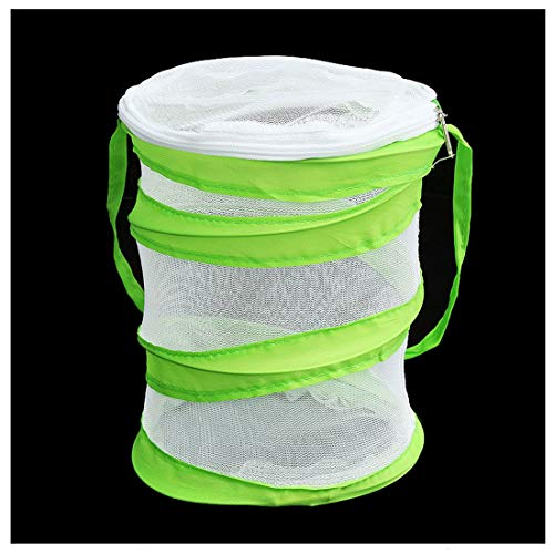 Noblik Small Praying Mantis Stick -up Cage Housing Enclosure | Garden ...