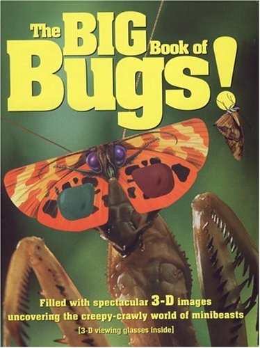 The Big Book Of Bugs: Robertson: 9780941807333: Amazon.com: Books