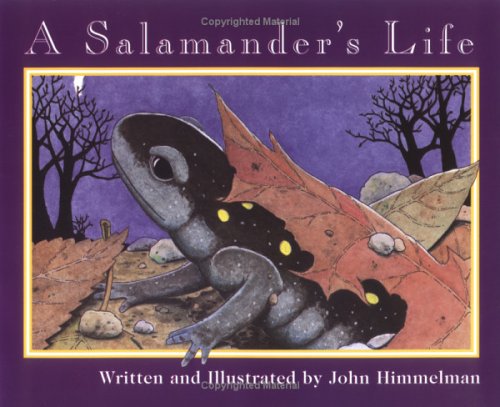 A Salamander's Life (Nature Upclose): Himmelman, John: 9780516263557 ...