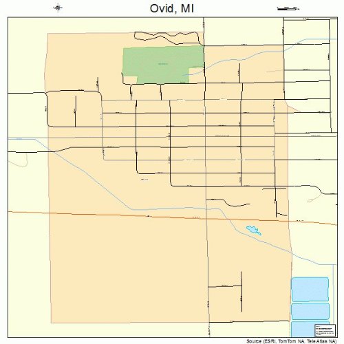 Large Street & Road Map of Ovid, Michigan MI - Printed poster size wall ...
