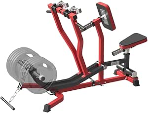 Amazon.com : SPART Seated Row Machine, Back Machine Gym Equipment Plate ...
