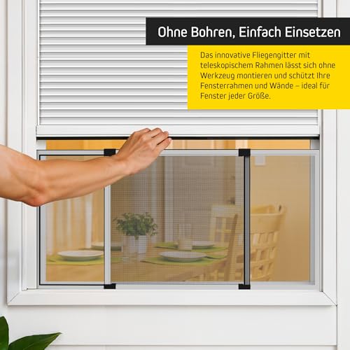 Fenster Mit Fliegengitter Und Rollladen