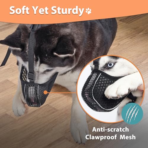 Mayerzon Dog Muzzle, Mesh Muzzle... - Labradoodles By Cucciolini