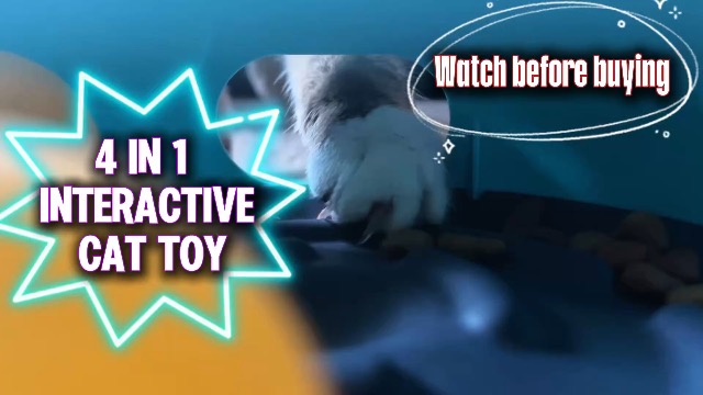 Watch 4-in-1 Interactive Cat Toy, Perfect for Keeping Cats Engaged and ...