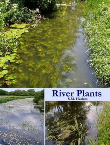 Amazon | River Plants: The Macrophytic Vegetation of Watercourses ...