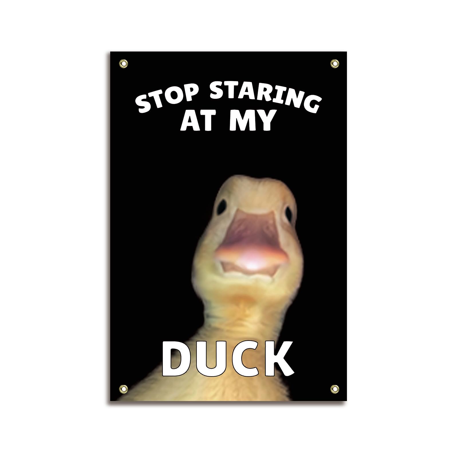 Serious Duck Memes Airplane Duck Meme Generator