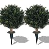 Amazon.com - LYTREWPLANT Artificial Boxwood Ball Bush 27" Tree UV ...