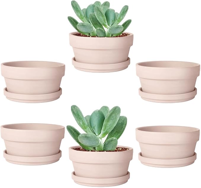 Amazon.com: vensovo 3.7 Inch Pink Terracotta Shallow Succulent Pots - 6 ...