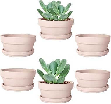Amazon.com: vensovo 3.7 Inch Pink Terracotta Shallow Succulent Pots - 6 ...