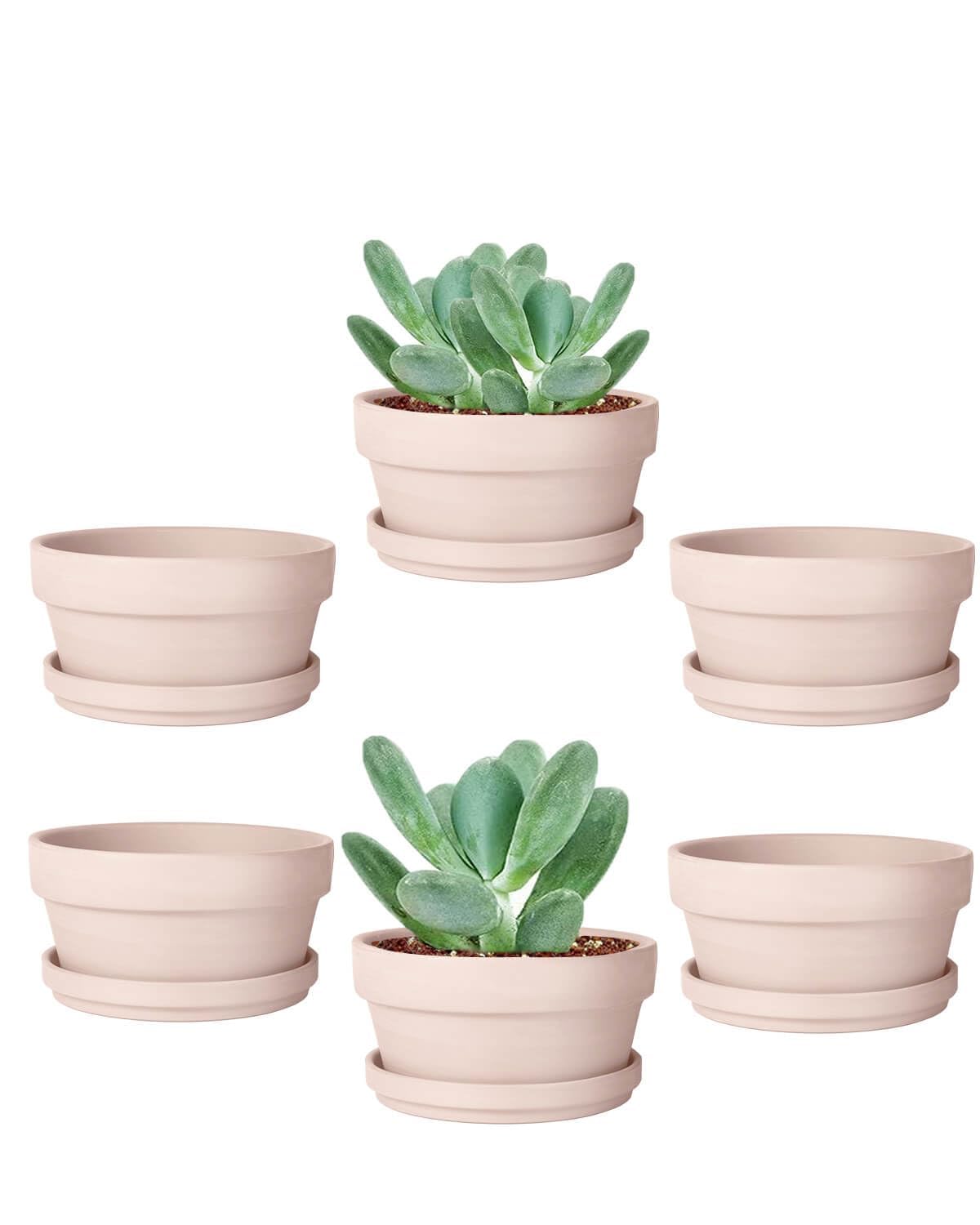 Snapklik.com : Vensovo 3.7 Inch Pink Terracotta Shallow Succulent Pots ...