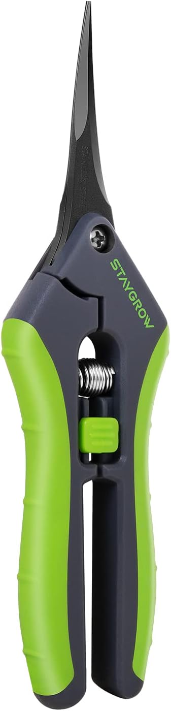 Amazon.com : STAYGROW 6.5" Pruning Shears for Gardening, Sharp Plant ...