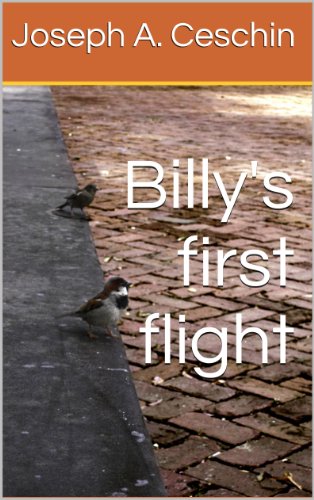 Amazon.com: Billy's first flight eBook : Joseph A. Ceschin: Kindle Store