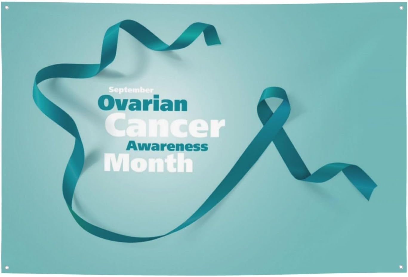 Amazon.com: BJZFAA Ovarian Cancer Awareness Month Banner Large ...