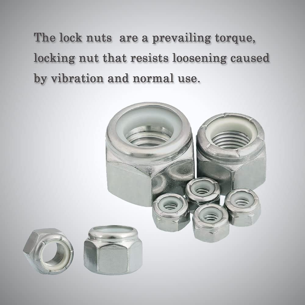 Snapklik.com : 1/4-20 Stainless Steel Lock Nut Assortment Kit 304 ...