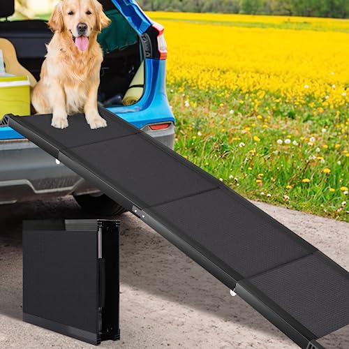 10 Best Lightweight Dog Ramps for Easy Access and Ultimate Comfort in ...
