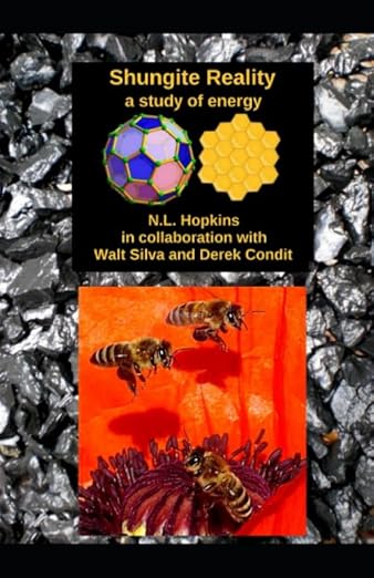 Shungite Reality: a study of energy: Hopkins, N. L., Silva, Walt ...