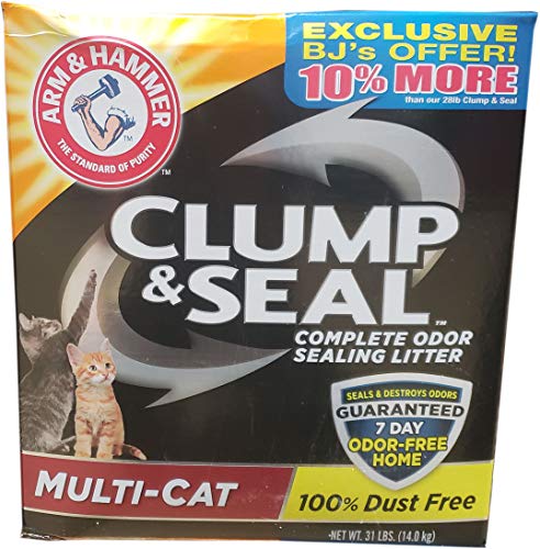 Clump and Seal Cat Litter – The 15 best products compared - Wild Explained