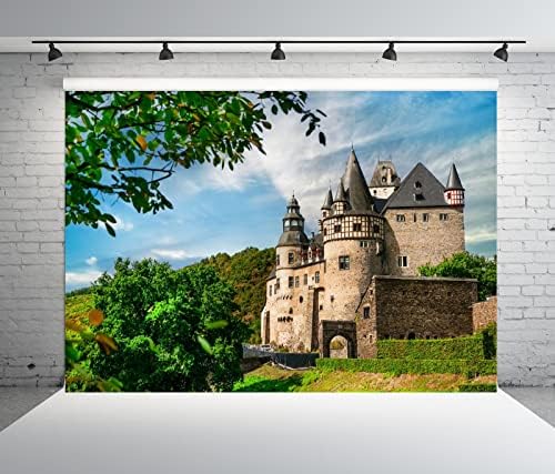 Amazon.com : BELECO 7x5ft Fabric Germany Medieval Castle Backdrop ...