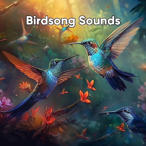 Amazon.com: Birdsong Sounds: Crystal Clear : Bird Sound Collectors ...
