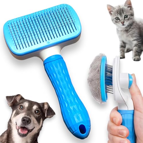 Los mejores cepillos para perros y cómo usarlos | Mundo Perros