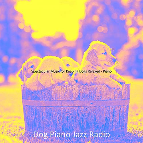 Spectacular Music for Keeping Dogs Relaxed - Piano de Dog Piano Jazz ...