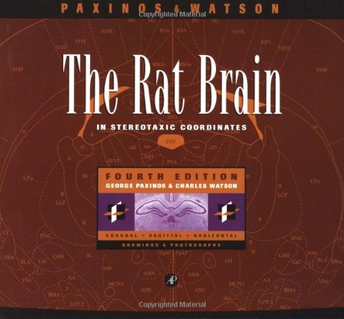 The Rat Brain in Stereotaxic Coordinates : Paxinos, George, Watson ...