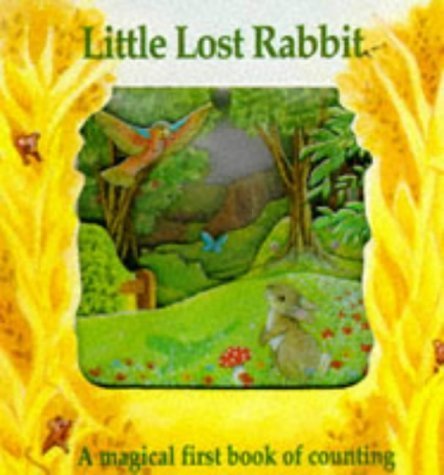 Little Lost Rabbit (Magic Window Books) (Magic Windows: Pull the Tabs ...