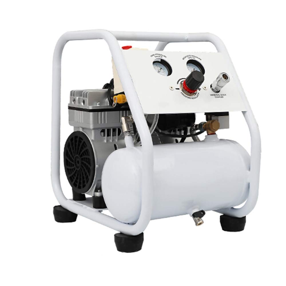 Buy LeiQuanQuan 750W Oil-free Silent Compressor, Mini 5L Air Pump ...