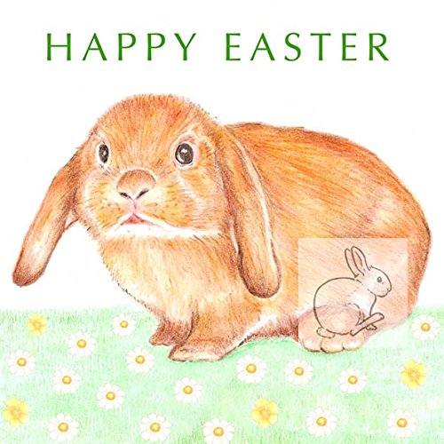 Flossie the Rabbit - Easter Card : Amazon.co.uk: Stationery & Office ...