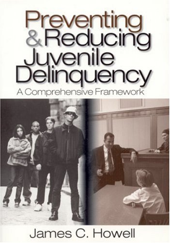 Buy Preventing and Reducing Juvenile Delinquency: A Comprehensive ...