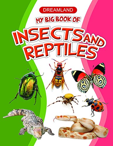 My Big Book of Insects & Reptiles eBook : Dreamland Publications ...