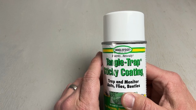 Watch Tanglefoot Tangle-Trap Sticky Coating Review on Amazon Live