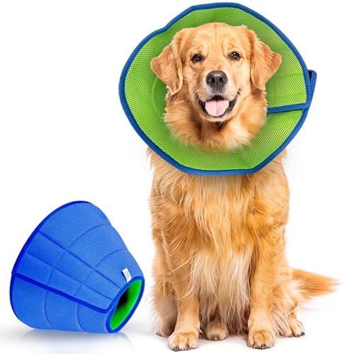 Cono Suave para Perros – Los 15 mejores productos comparados - Wild ...