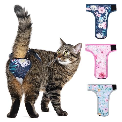 Cat Diapers – The 15 best products compared - Wild Explained