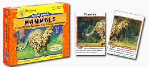 Amazon.com: Tracking Animals Game - Mammals in African Savannah, Pine ...