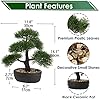 Amazon.com: Artificial Bonsai Tree Juniper Faux Plants Indoor Small ...