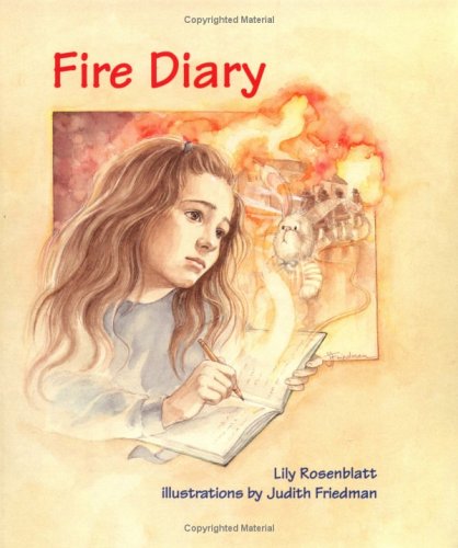 Fire Diary: Amazon.co.uk: Rosenblatt, Lily, Friedman, Judith ...