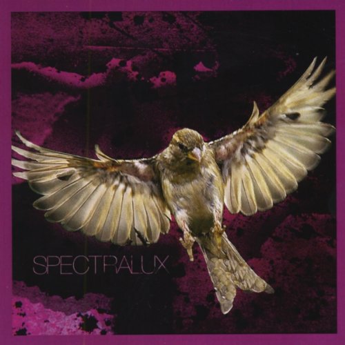 Play In Your Collective Conscience by Spectralux on Amazon Music