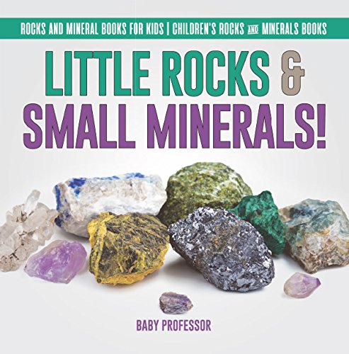 Amazon.com: Little Rocks & Small Minerals! | Rocks And Mineral Books ...