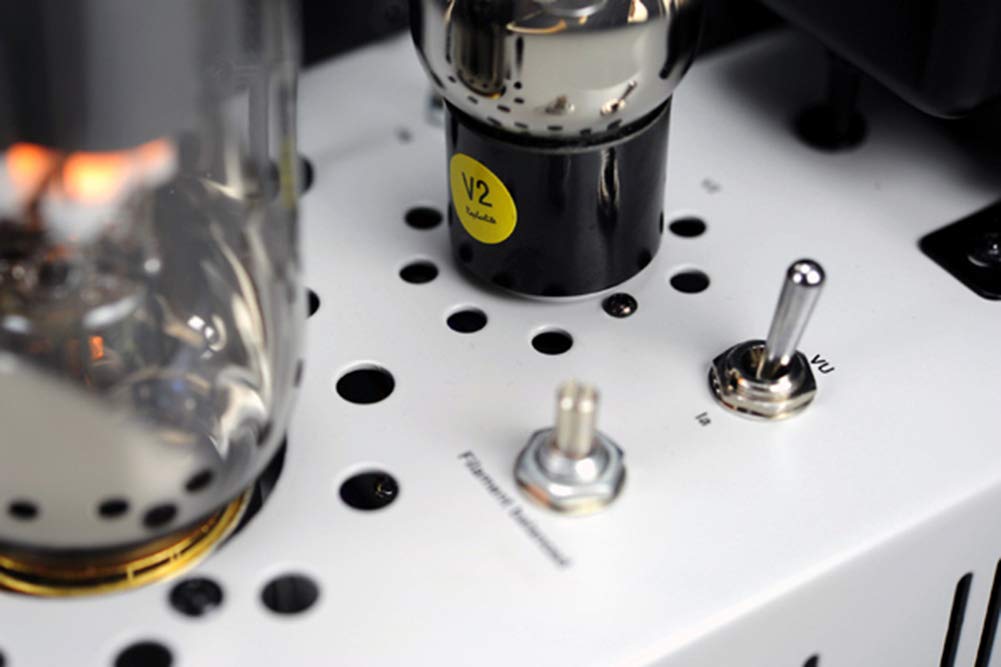 Buy Raphaelite CSM45 Single-Ended monoblock Power Amplifier 845 HI-FI ...