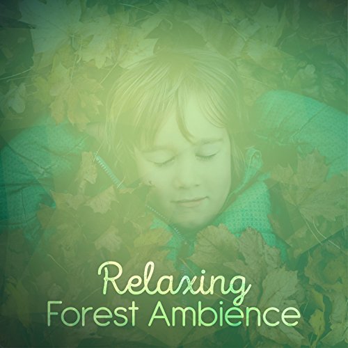 Play Relaxing Forest Ambience by Relaxing Nature Ambience on Amazon ...