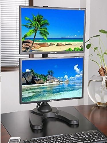 Amazon.com: EZM Heavy-Duty Vertical Dual LCD Monitor Mount Stand ...